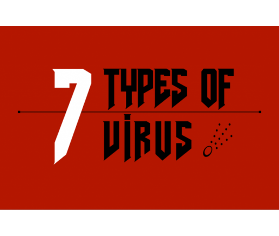 7 types of virus – a short glossary of contemporary Cyberbadness [March ...